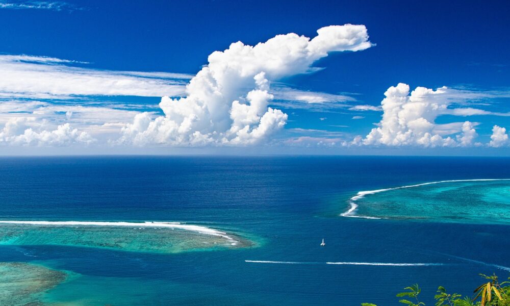 Arktida vs. Antarktida. Víte, jaké jsou mezi nimi rozdíly? - frews.cz